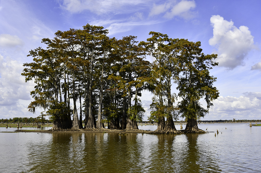 Baton Rouge, Louisiana – Gil Williamson
